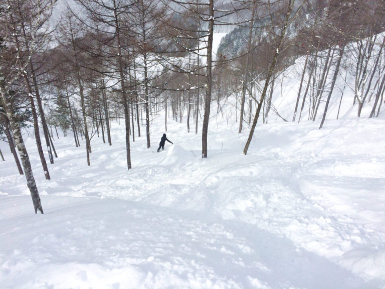 Hakuba Iwatake Snowfield ['25-26] | Ski and Snowboard Information Media ...