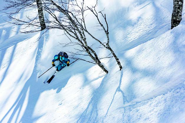 Hakuba Valley Hakuba Cortina | The area's best powder spot, attracting ...