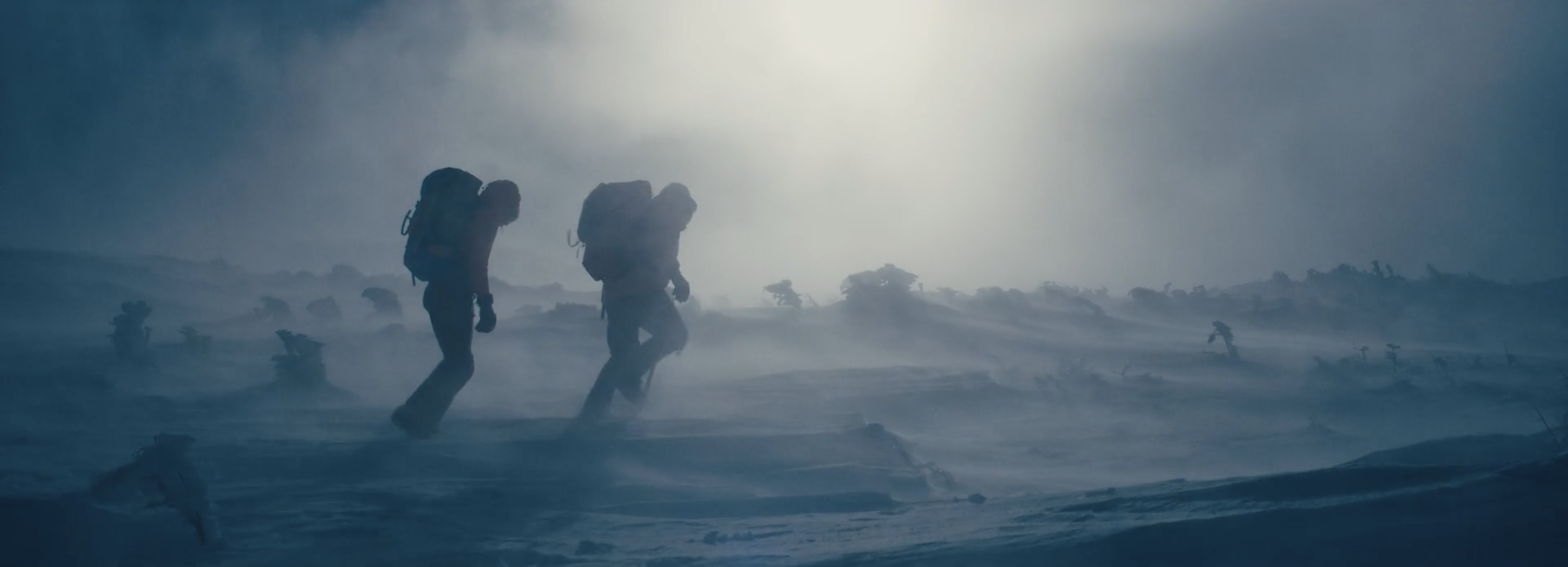 世界最高峰のアウトドア映画祭が今年も日本上陸！「Banff Centre Mountain Film Festival in Japan 2025」9月6日～ | スキー・スノーボード情報 ...