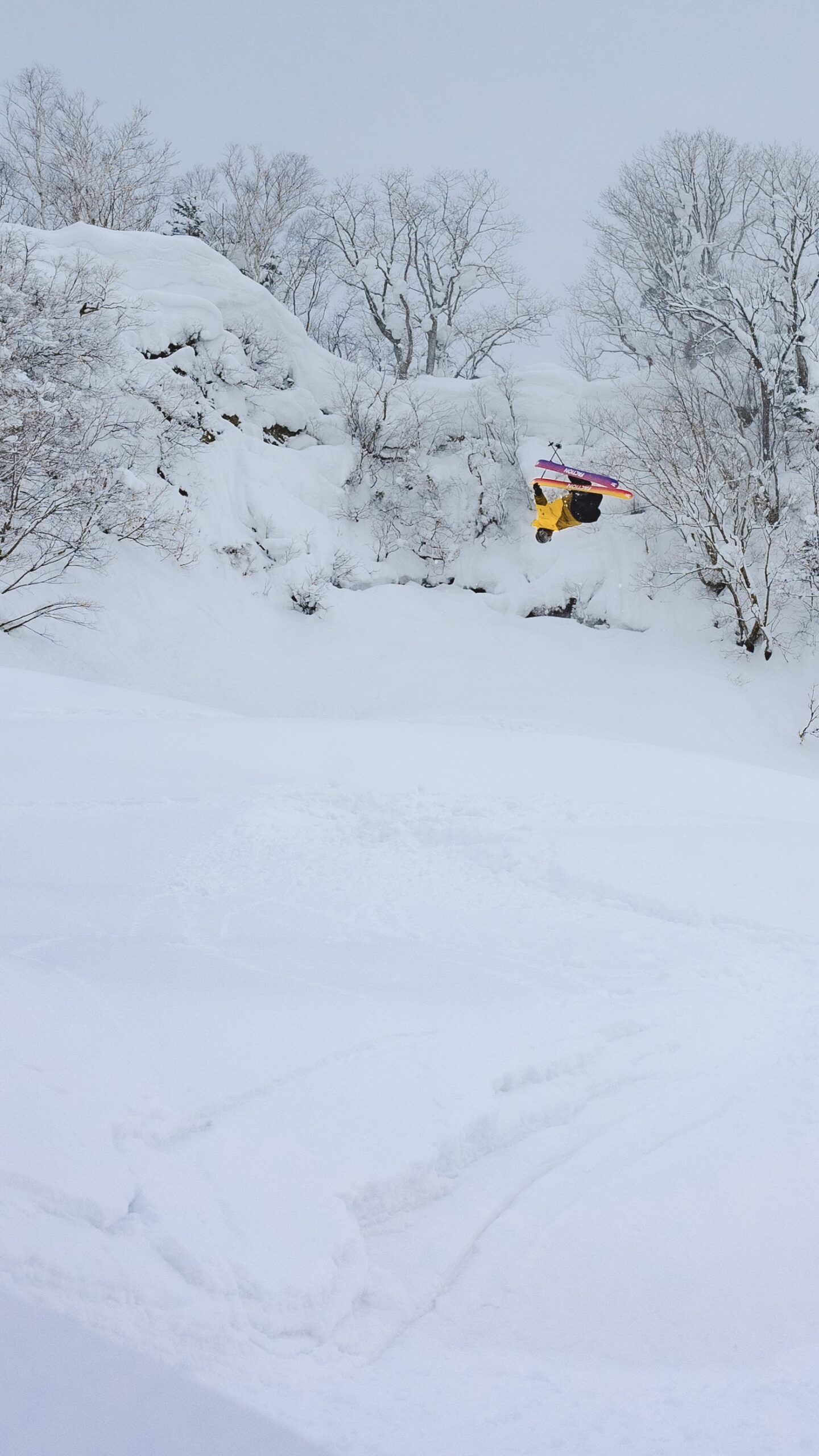 Koga Hoshino rejoint l'équipe Clev de Clev Sports ! Daisuke Yoshioka ...
