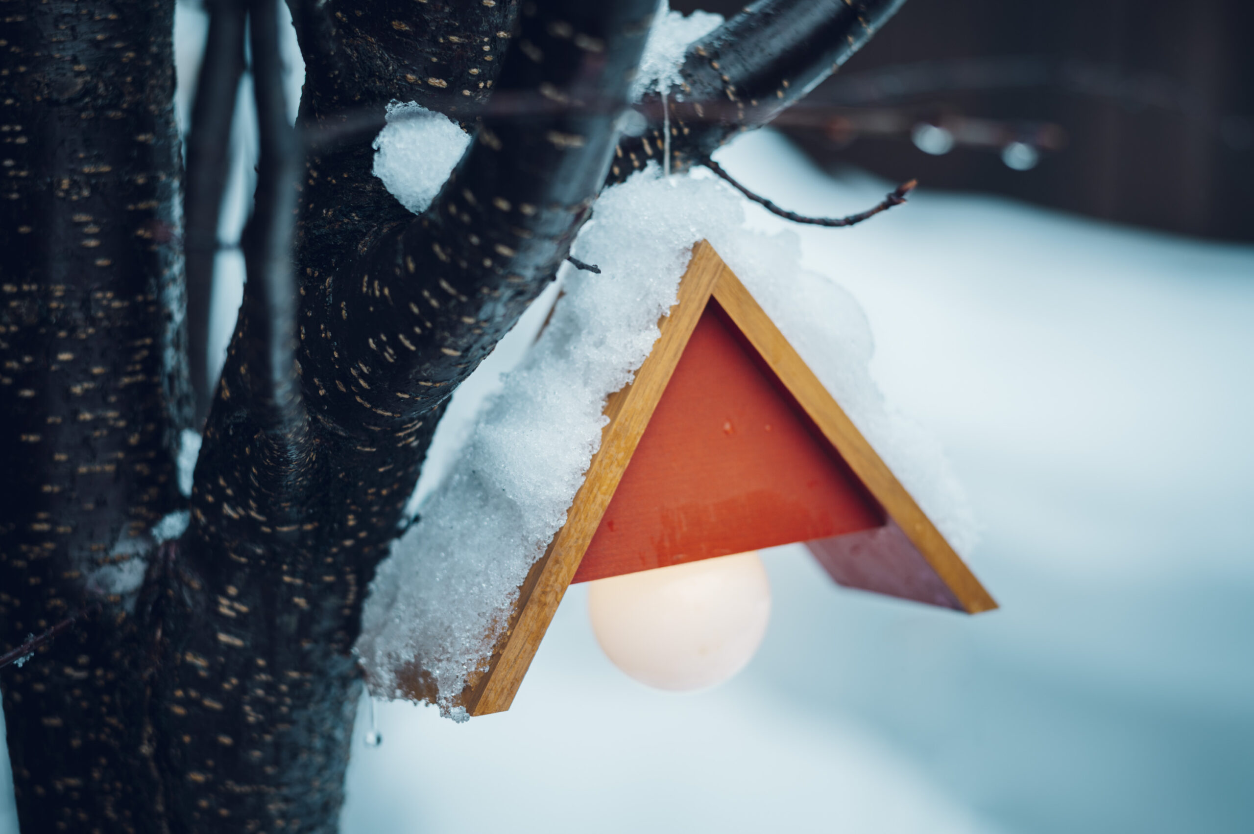 Snowy night light born from the Gassho-style architecture. Relax in a ...