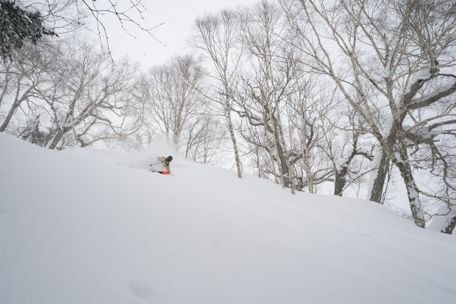 Asahikawa Base | Skiture i byen | Informationsmedier om ski og ...